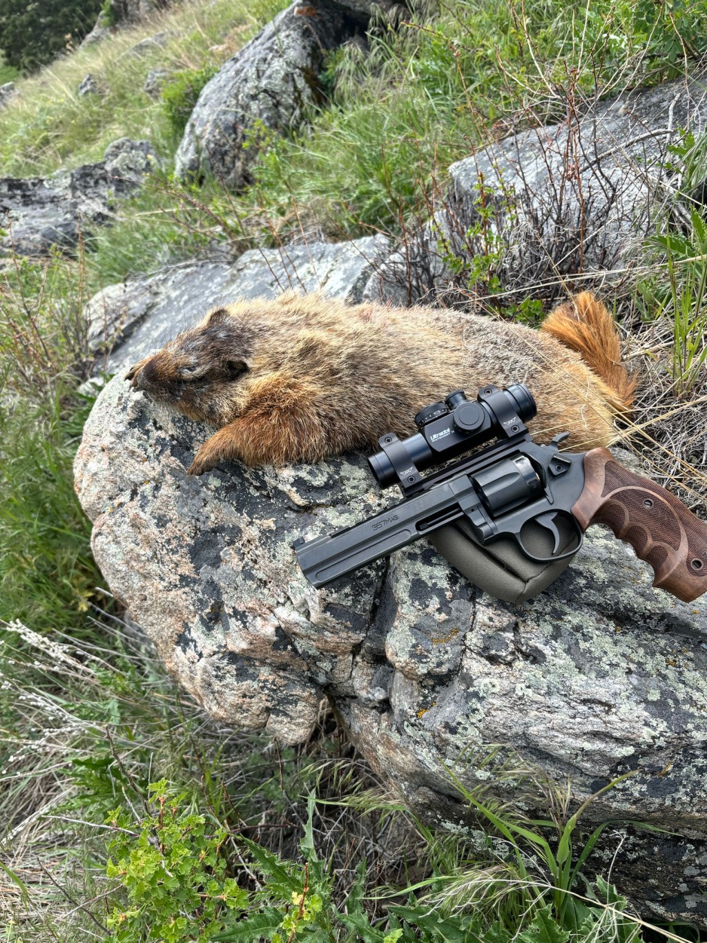 Handgun Hunting Afield – "Doing the impossible with a handgun"