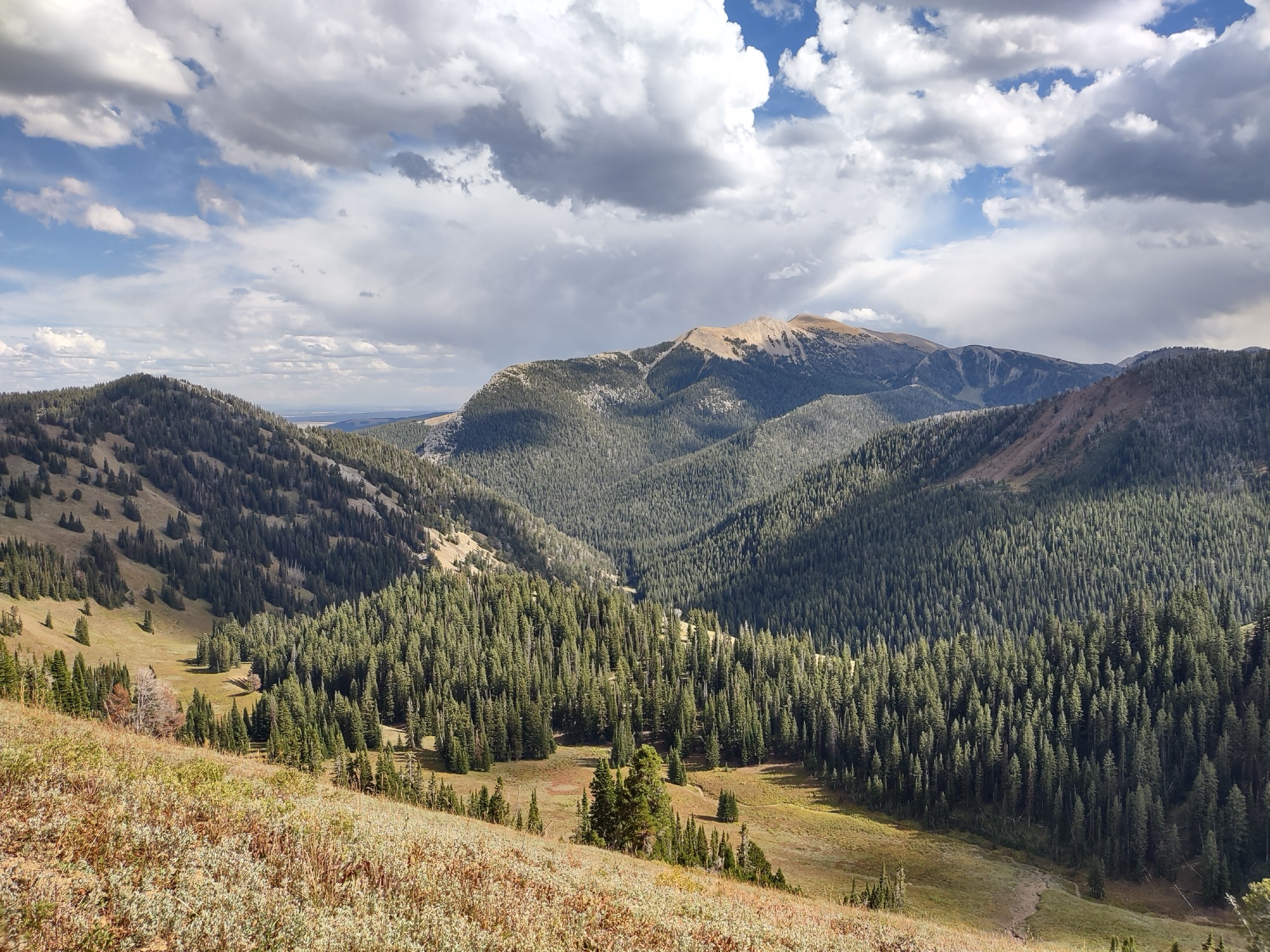 Handgun Hunting Afield – "Doing the impossible with a handgun"